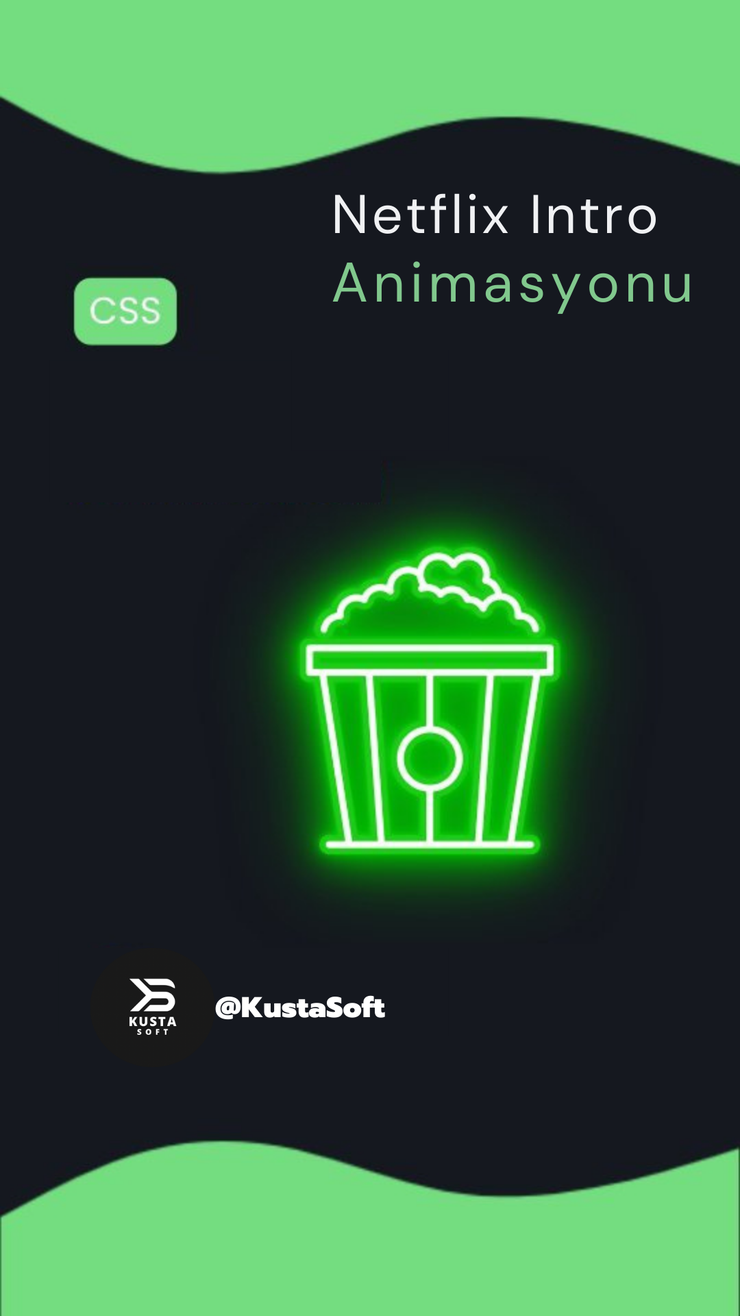 Netflix Intro Animation - KustaSoft